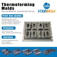 China High Clarity Fruit Box Mold Vacuum forming Gift Packaging Mould for sale