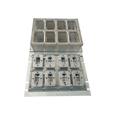China Precision Engineered Raspberry Clamshell Mold Moulds Product for sale