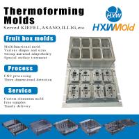China Precision Engineered Raspberry Clamshell Mold Moulds Product for sale