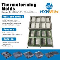 China Aluminium Lightweight Fruit Box Mold Thin Wall Fruit Tray Mould for sale