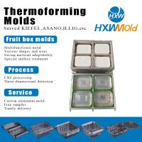 China Fresh Fruit Box Mold With Micro Holes Vegetable Box Mold Vacuum Forming for sale