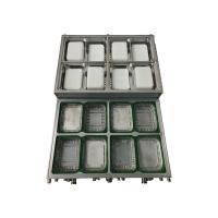 China Thermoforming PET Fruit Box Mold Packaging Transparent Blister Mold for sale