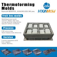 China Thermoforming PET Fruit Box Mold Packaging Transparent Blister Mold for sale