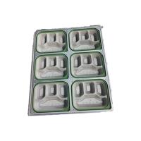 China PS Starch Disposable Lunch Box Mold Multi Station Thermoforming Mold Custom for sale