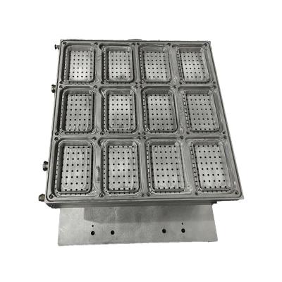 China Fully Automatic Vacuum Thermoforming Mold for Disposable Fast Food Boxes PET PP PVC PS for sale