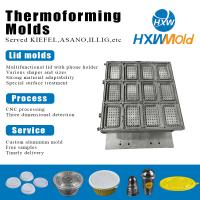 China Fully Automatic Vacuum Thermoforming Mold for Disposable Fast Food Boxes PET PP PVC PS for sale
