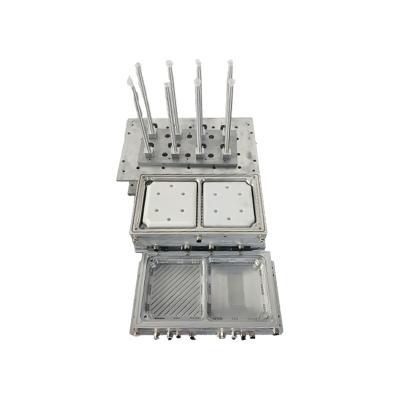 China Three Station Food Container Mold Disposable Clamshell Plastic Fruits Box Mold for sale