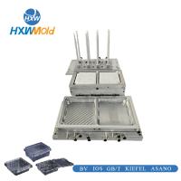 China Three Station Food Container Mold Disposable Clamshell Plastic Fruits Box Mold for sale