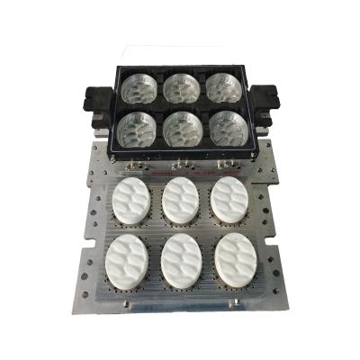 China Customised Disposable Food Container Mold Clear Plastic Blister Frozen Meat Box Mold for sale