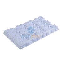 China Plastic Mold Manufacturer Multi station Hot Forming Customized Electronic Tray Molds for sale