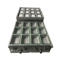 China Meal Trays Heavy Gauge PET Container Mold With Anti Leak Flange Design Leak Proof for sale