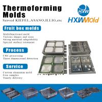 China Multi Station One Time Food Container Mold Custom Thermoforming Mold for sale