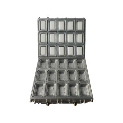 China OEM Biodegradable Rectangular Tray Mold for Eco Friendly Food Packaging Solutions for sale