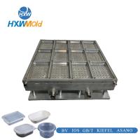 China High Precision Square Food Container Lid Mold for Disposable Packaging for sale
