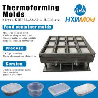 China High Precision Aluminum Blister Mold PET ABS Plastic Injection Mold Vacuum Forming for sale
