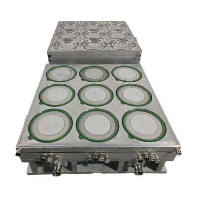 China High Transparency PET Blister Thermoforming Mold Medical Food Plastic Packaging Mold for sale