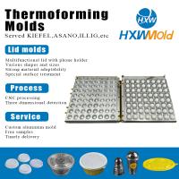 China Custom Disposable Plastic Cups Lid Mold Fast Production for Takeaway Containers Thermoforming Mold for sale