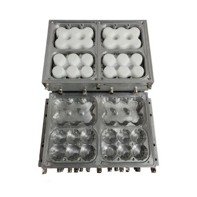 China Plastic Mould Multi Station Thermoforming Egg Tart Tray Mould for sale