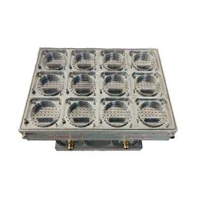 China Multi Cavity Fast Cycle Transparent Lid Mold for Mass Food Packaging Production for sale