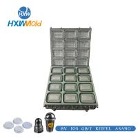 China Premium OEM Stackable Kiwi Fruit Tray Mold Blister Category Product for sale
