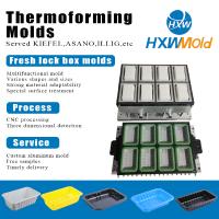 China Plastic Thin Wall Container Mould Multi Station Thermoforming Fresh Food Lock Box Mold for sale
