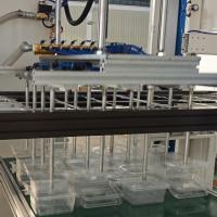 China 25-Cavity CNC Aluminum High-Yield Food Container Thermoforming Mold for PP PET Packaging for sale