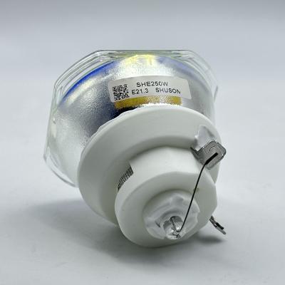 China Shusen brand projector bulbs compatible with Epson ELPLP85, ELPLP89, and ELPLP91 projector bulbs (SHE250W, E21.3) for sale