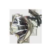 China VT480 VT490 VT491 VT495 VT595 VT695 NEC Projector Bulbs for sale