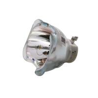 China POA-LMP143 Projectors Bulbs For Sanyo PDG-DXL2000 PDG-DWL2500c PDG-DWL2500 for sale