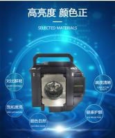 China 230W ELPLP50 V13H010L50 Epson Projector Lamp for sale
