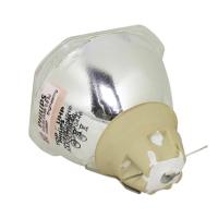 China 215Watt  54X54mm Epson Projector Bulbs ELPLP90 for Business for sale