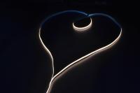China HOYOL 24V 3000K COB LED Strip Lights 320Led/M Low Voltage Smart Light Strip Ra95 for sale