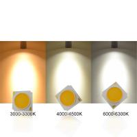 China R17mm 24V LED COB Chips 1919 Series Ra80 3000K 4000K 6500K No Glare Light for sale