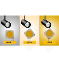 China R17mm 24V LED COB Chips 1919 Series Ra80 3000K 4000K 6500K No Glare Light for sale
