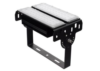 China Hot Promotion Model Tunnel 100W LED Flood Lights Warehouse Led Tunnel Lamp for sale