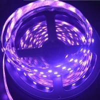 China 12V/24V 5050 RGBW 4 In 1 Chips RGBW LED Strip for sale