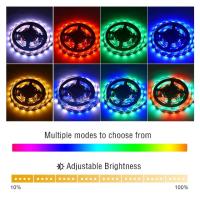 China 12V 24V 5050 RGB LED Strip Light Home Room Decor 5m Length 10mm Width for sale