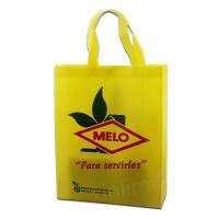 China Business Shopping Nonwoven Bag with Logo in Customized Design and PP Laminated Material for sale