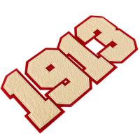 China PANTONE Colors Iron On Chenille Letters Patches for Clothing Embroidery Patches for sale