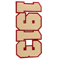 China PANTONE Colors Iron On Chenille Letters Patches for Clothing Embroidery Patches for sale