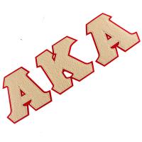 China PANTONE Colors Iron On Chenille Letters Patches for Clothing Embroidery Patches for sale