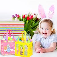 China Customizable Non-Woven Bags in Pantone Colors for Promotions and Holiday Gifts for sale