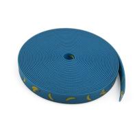 China Pet Accessories and Supplies RIBBONS Custom Design Flex-poly PVC Coated Nylon Webbing for sale
