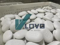 China Fully Automatic Soap Machine 500kg Per Hour Stainless Steel Toilet Soap Production Line for sale