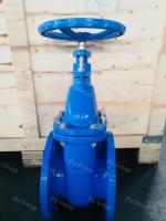 China GG25 Cast Iron GGG50 Ductile Iron Non Rising Stem Gate Valve 2-48 Inch for sale