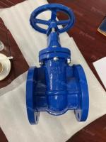 China GG25 Cast Iron GGG50 Ductile Iron Non Rising Stem Gate Valve 2-48 Inch for sale