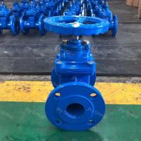 China BS 5163 Non Rising Stem Resilient Seated Gate Valve Ductile Iron EPDM Seat 2-48 Inch for sale