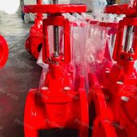 China ANSI Rising Stem Gate Valve Ductile Iron Resilient Seated 2-48 Inch for sale