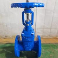 China ANSI Rising Stem Gate Valve Ductile Iron Resilient Seated 2-48 Inch for sale