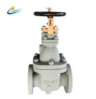 China JIS Standard Bronze Cast Iron Flanged End Metal Seat Gate Valve DN15-DN300 for sale